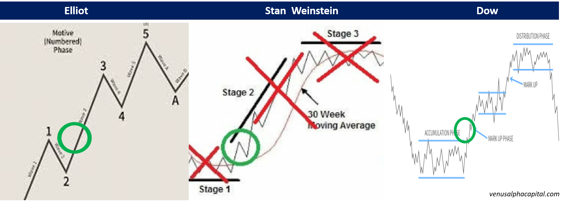 When To Buy The Dip ? - Venus Alpha Capital