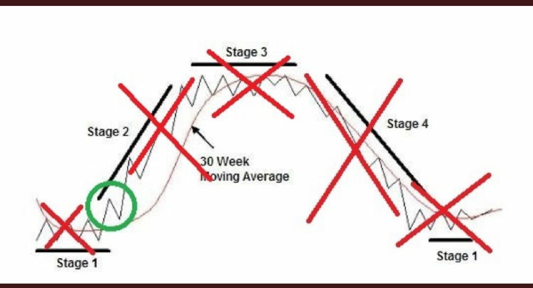 When To Buy The Dip ? - Venus Alpha Capital